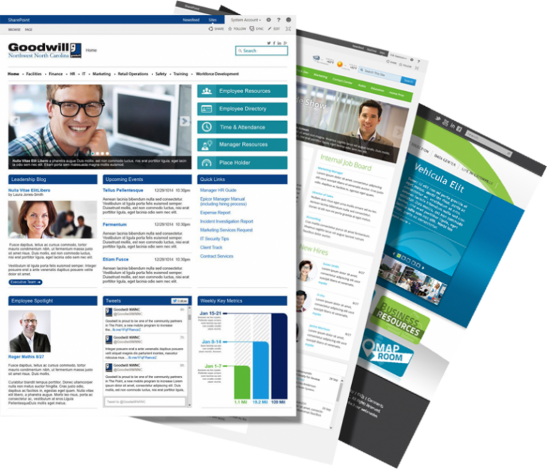 dataBridge - SharePoint Consulting Firm